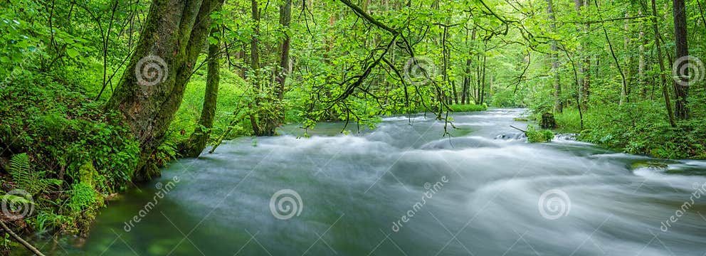 Panorama of River with Rapids Running through Green Forest Stock Photo ...