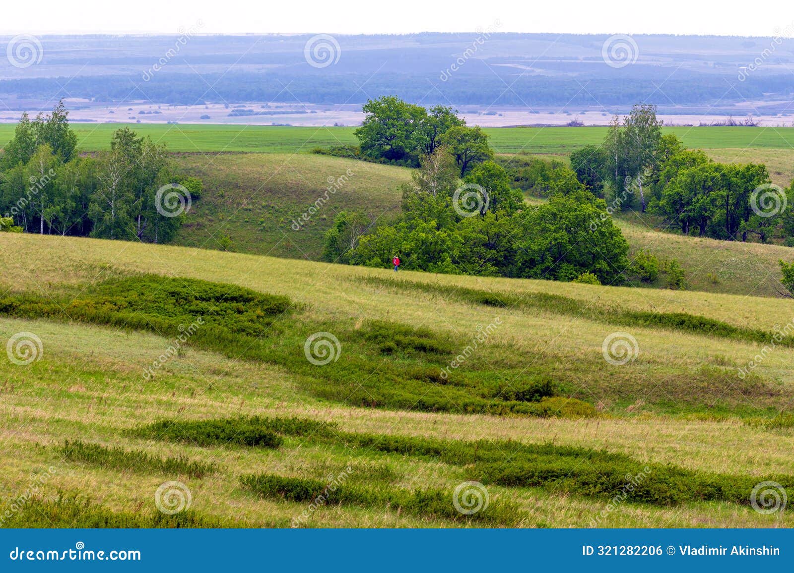 Panorama of Rolling Plains on a Sunny Day Stock Photo - Image of flora ...