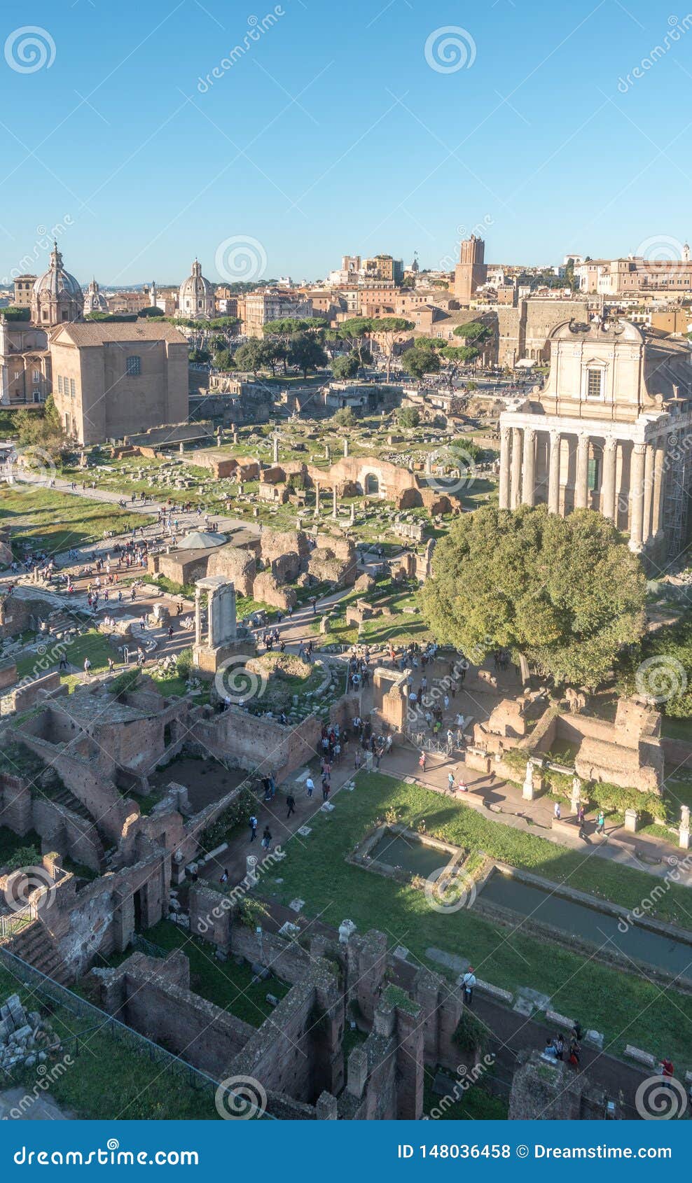 Panorama of the Roman Forum Editorial Stock Photo - Image of rome ...