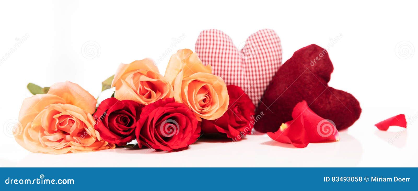 Panorama with Roses and Hearts Stock Photo - Image of bloom, flower ...