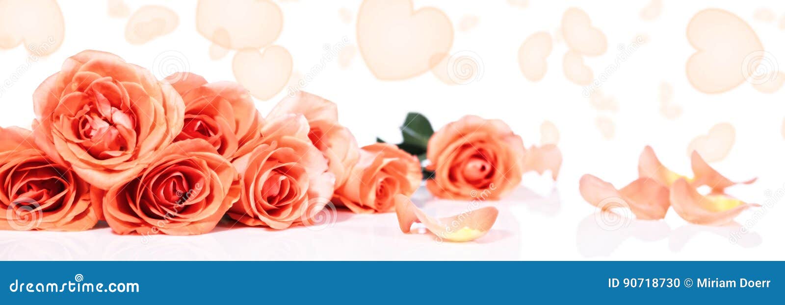 Panorama with Roses and Hearts Stock Photo - Image of plant, design ...