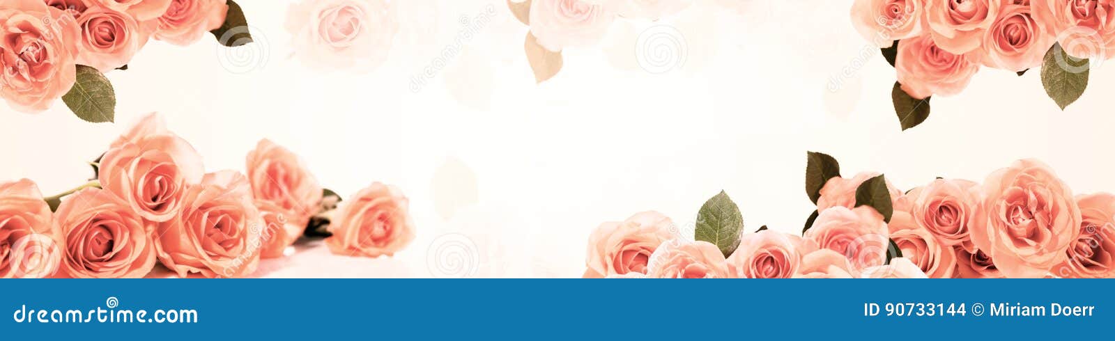 Panorama with roses stock illustration. Illustration of blossom - 90733144