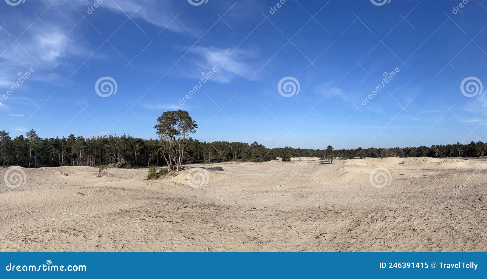Panorama from the Sahara Ommen Stock Image - Image of netherlands ...