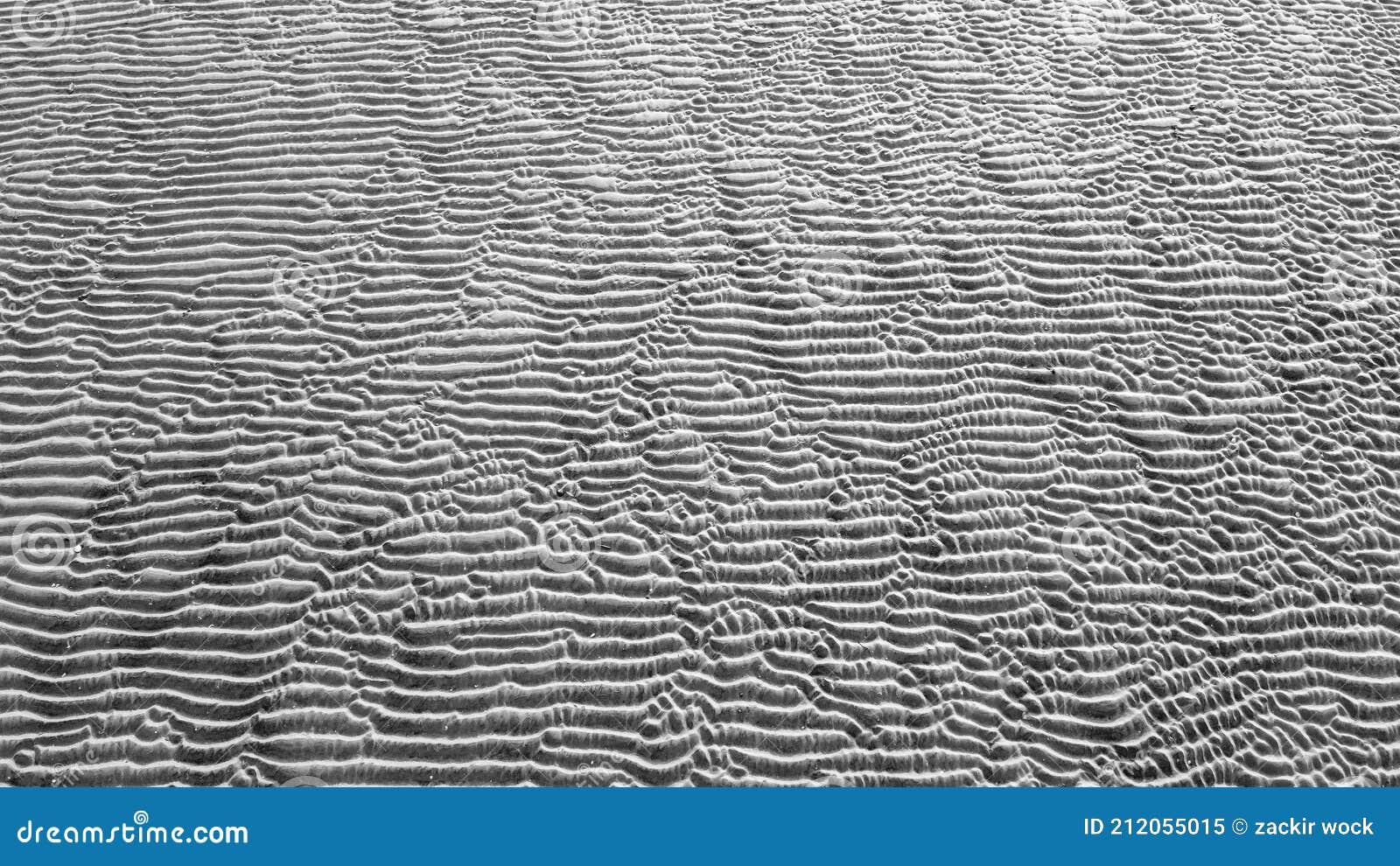 Panorama Sand Texture, Wave Abstract Lines. Abstract Monochromatic Sand ...