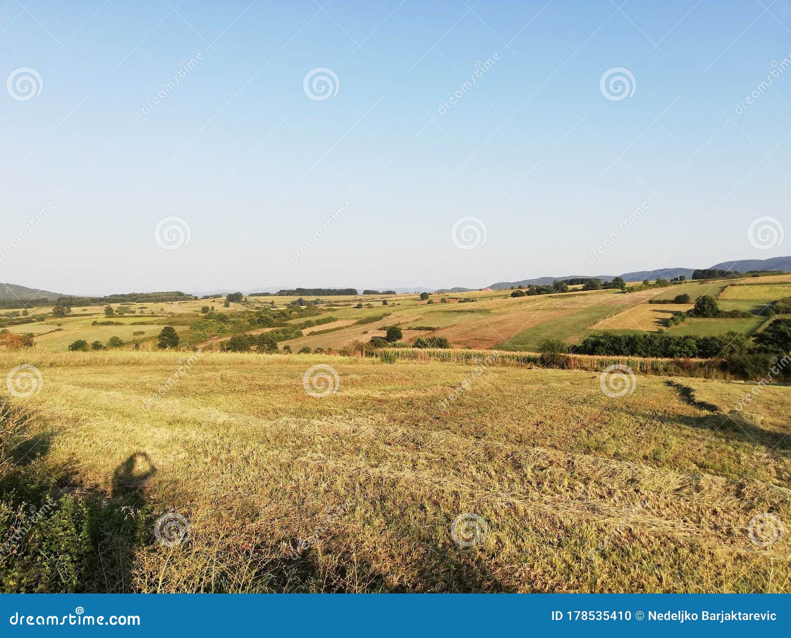 Panorama of Serbian Arable Fields at the Time of Wheat Harvest ...
