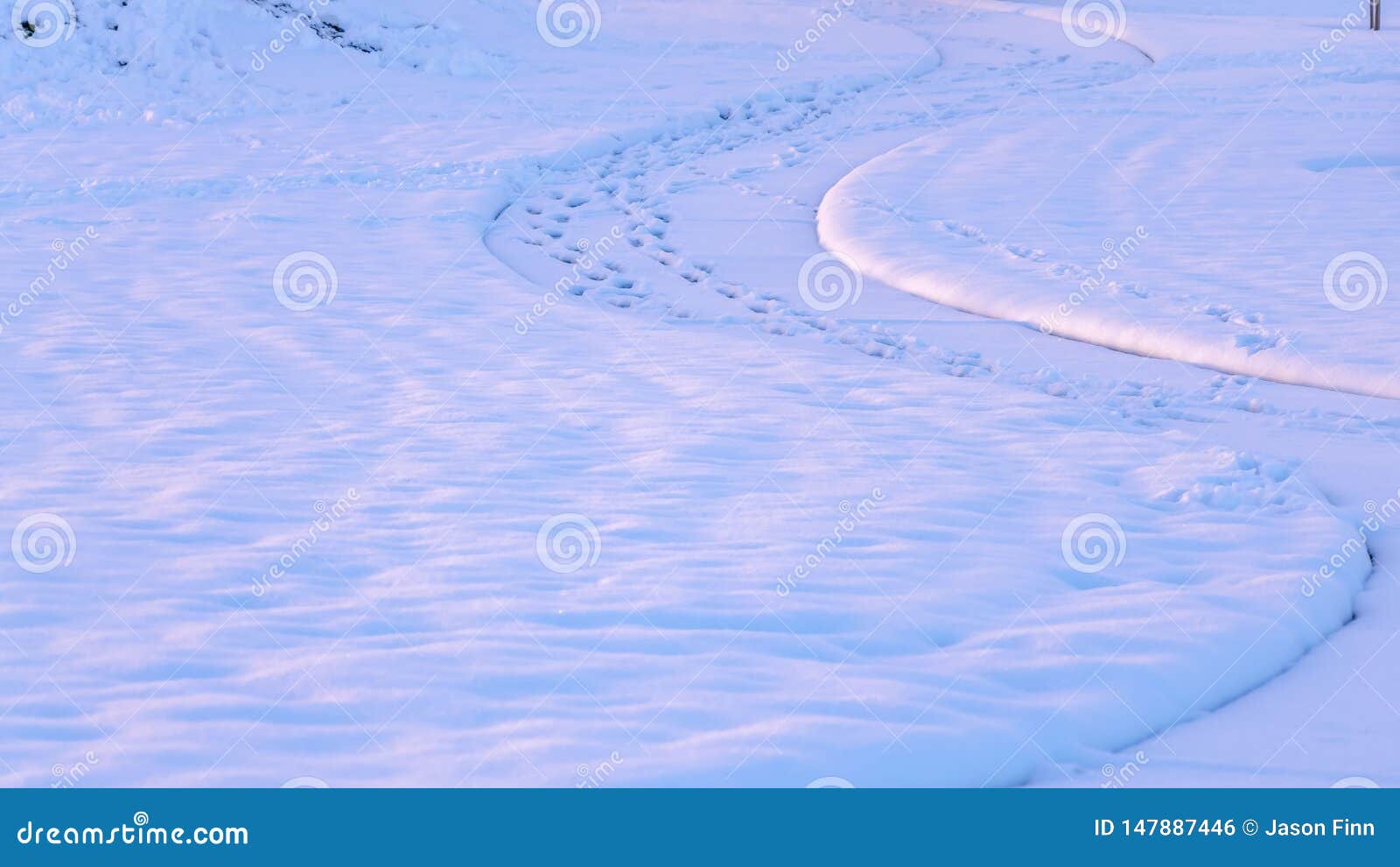 Panorama Snowy Pathway Curving through a Wintry Landscape in Eagle ...