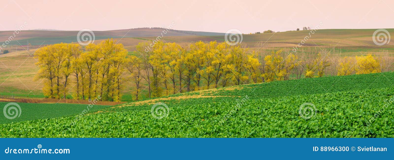 Panorama of South Moravia Autumn Fields with a Trees. Stock Photo ...
