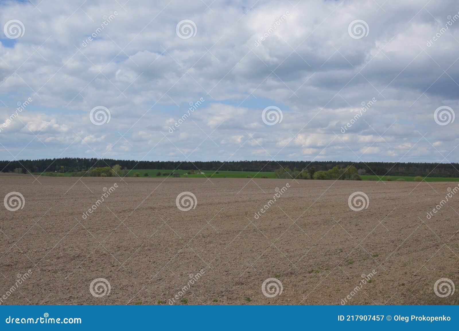 Panorama of a Spring Field Weeded by a Tractor Stock Image - Image of ...