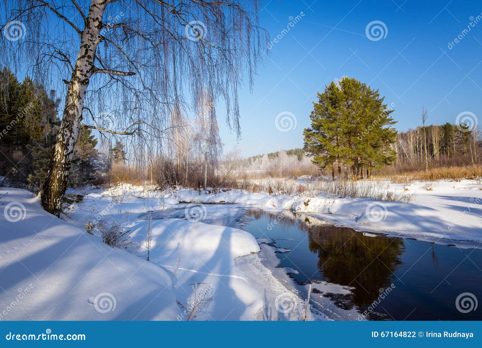 Panorama of the Spring Forest, Russia, the Urals Stock Photo - Image of ...