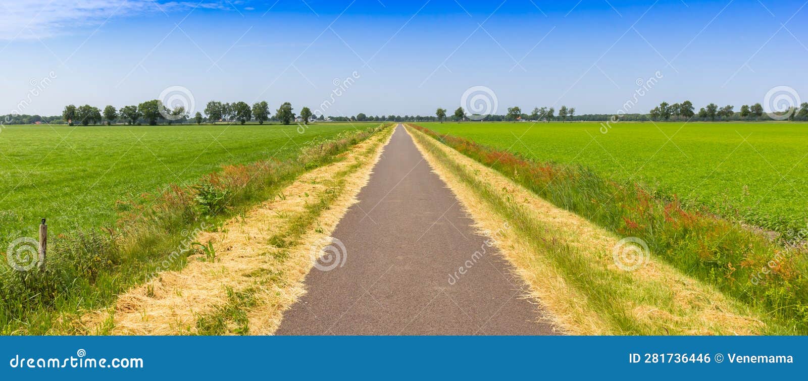 Panorama of a Straight Road Going through the Flat Landscape of Drenthe ...