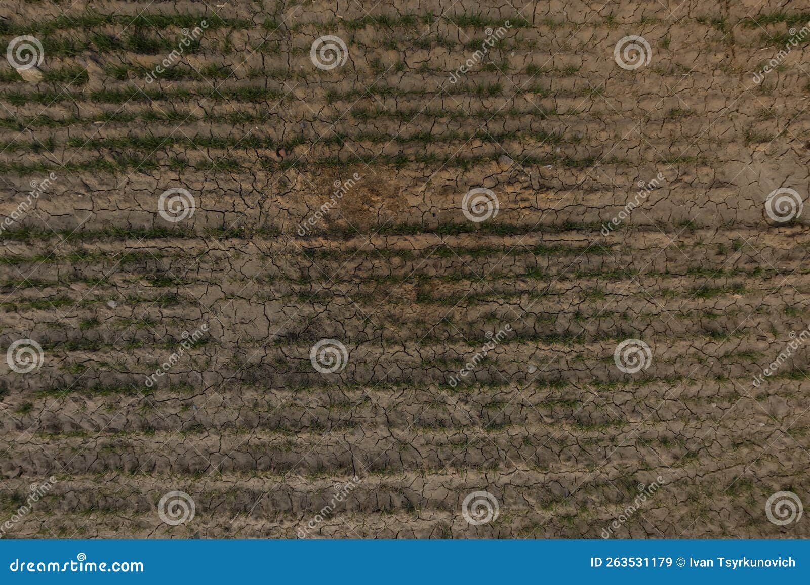 Panorama of Surface from Above Agro Field Surface with Cracks Stock ...