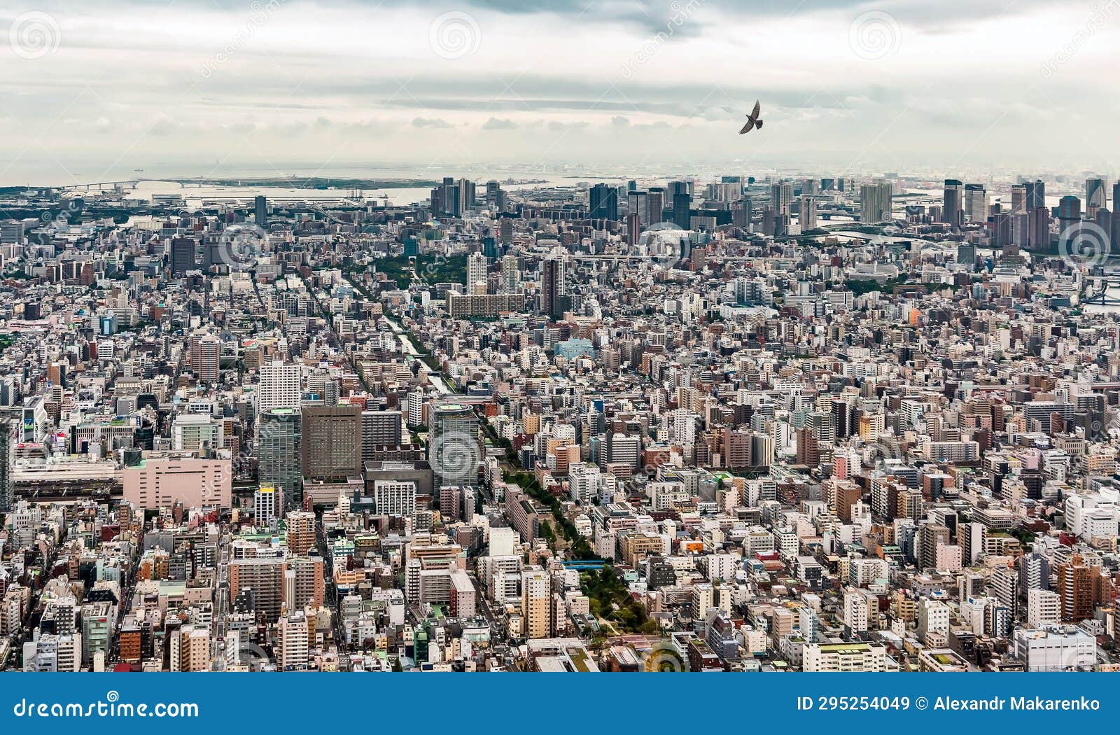 Panorama of Tokyo. stock image. Image of 39aph39, overview - 295254049