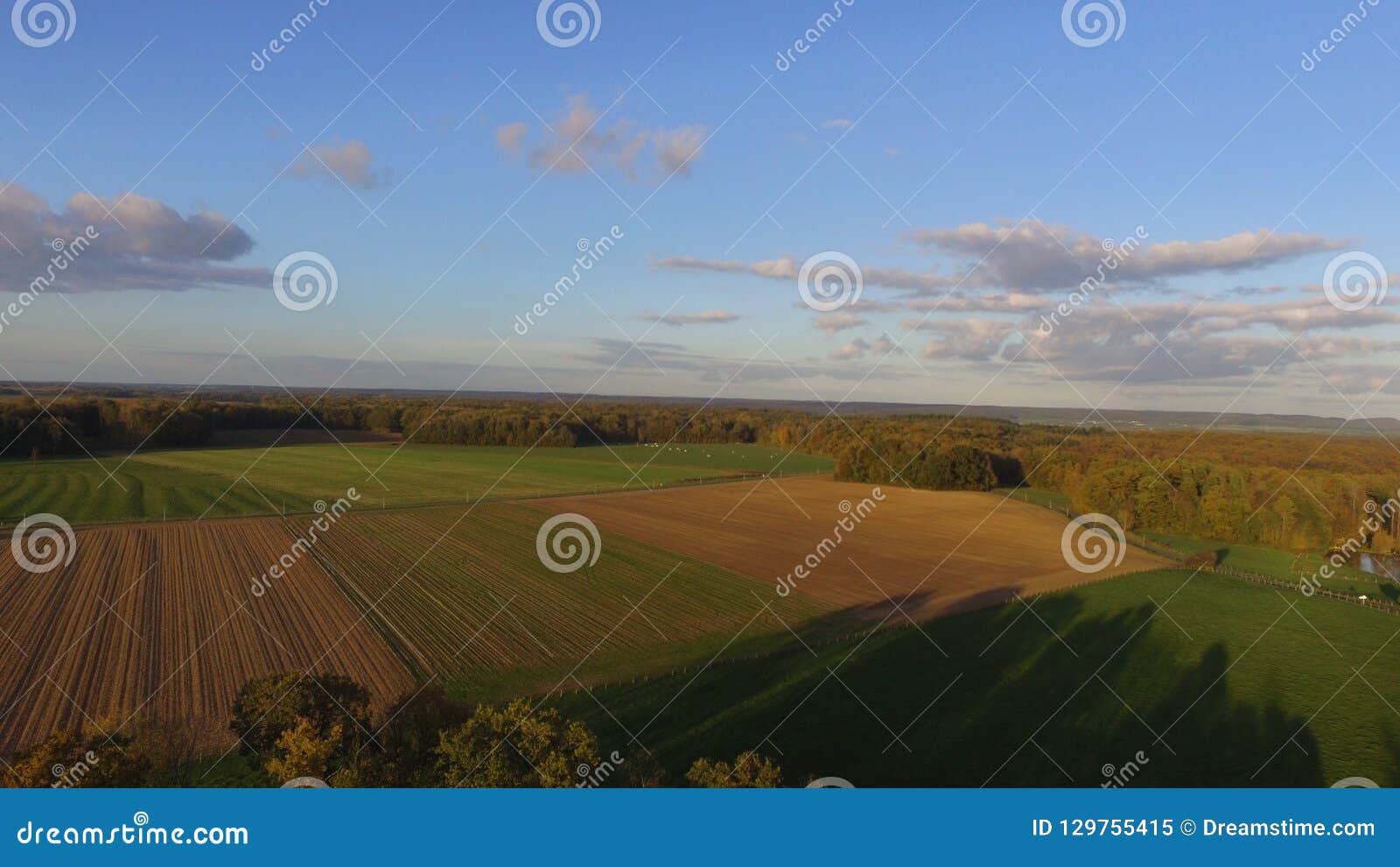 Panorama with trees stock image. Image of shadow, great - 129755415