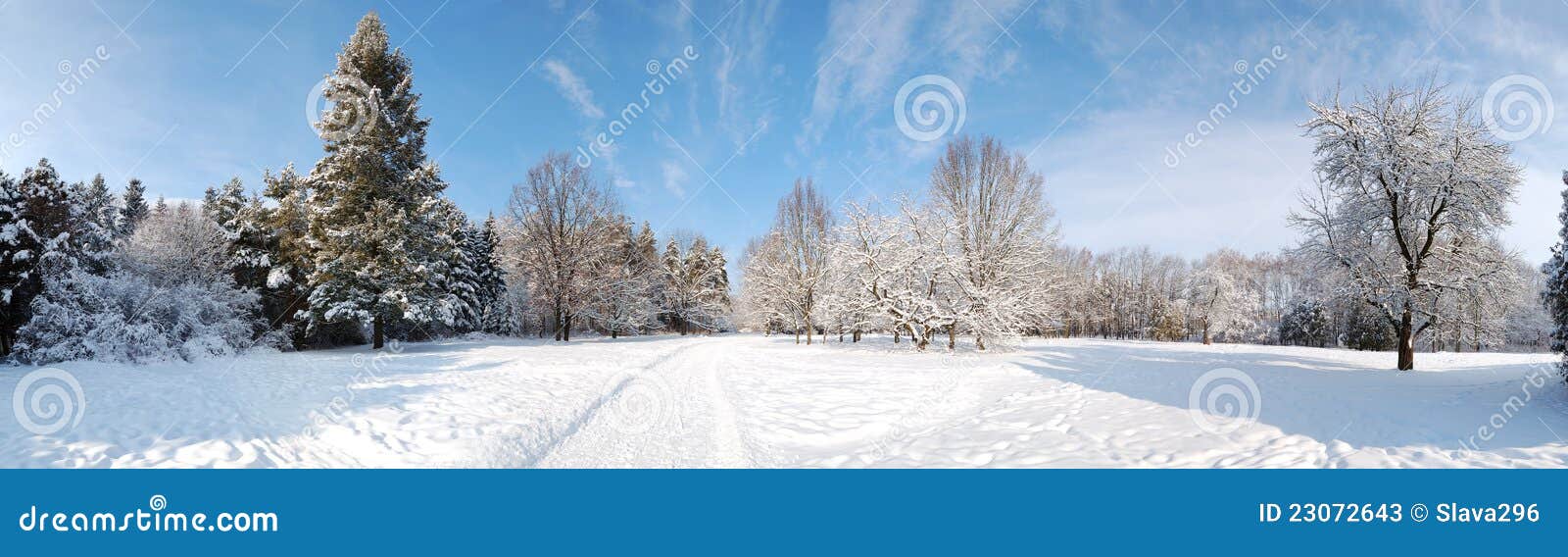 The Panorama of Trees Covered with Snow Stock Image - Image of seasonal ...