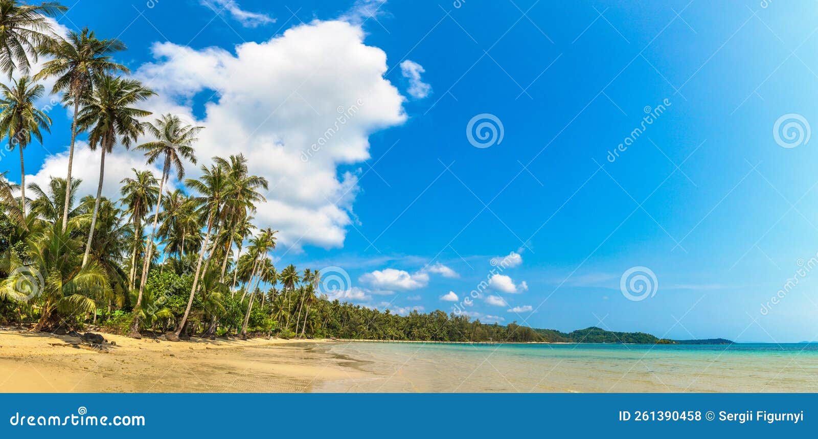 Panorama of Tropical beach stock photo. Image of hawaii - 261390458