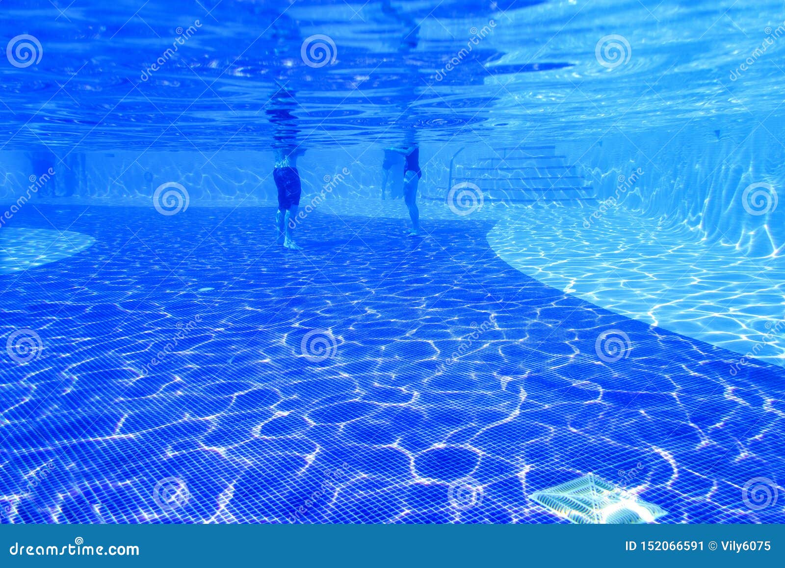 Panorama of the Underwater Part of the Pool Stock Image - Image of ...