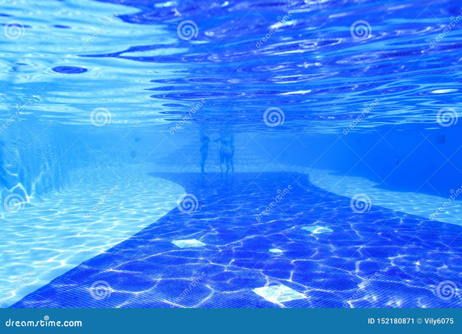 Panorama of the Underwater Part of the Pool Stock Image - Image of ...