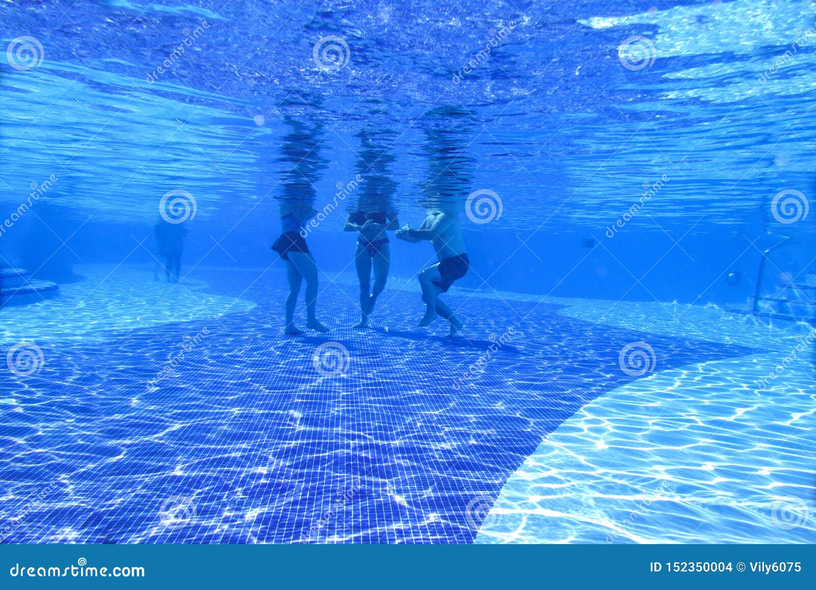 View of the Underwater Part of the Pool Stock Photo - Image of surface ...