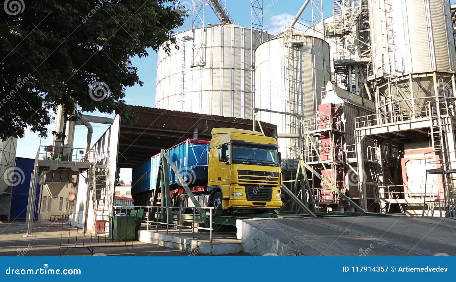 Panorama of Unloading Grain Trucks at Elevator on Elevating Hydraulic ...