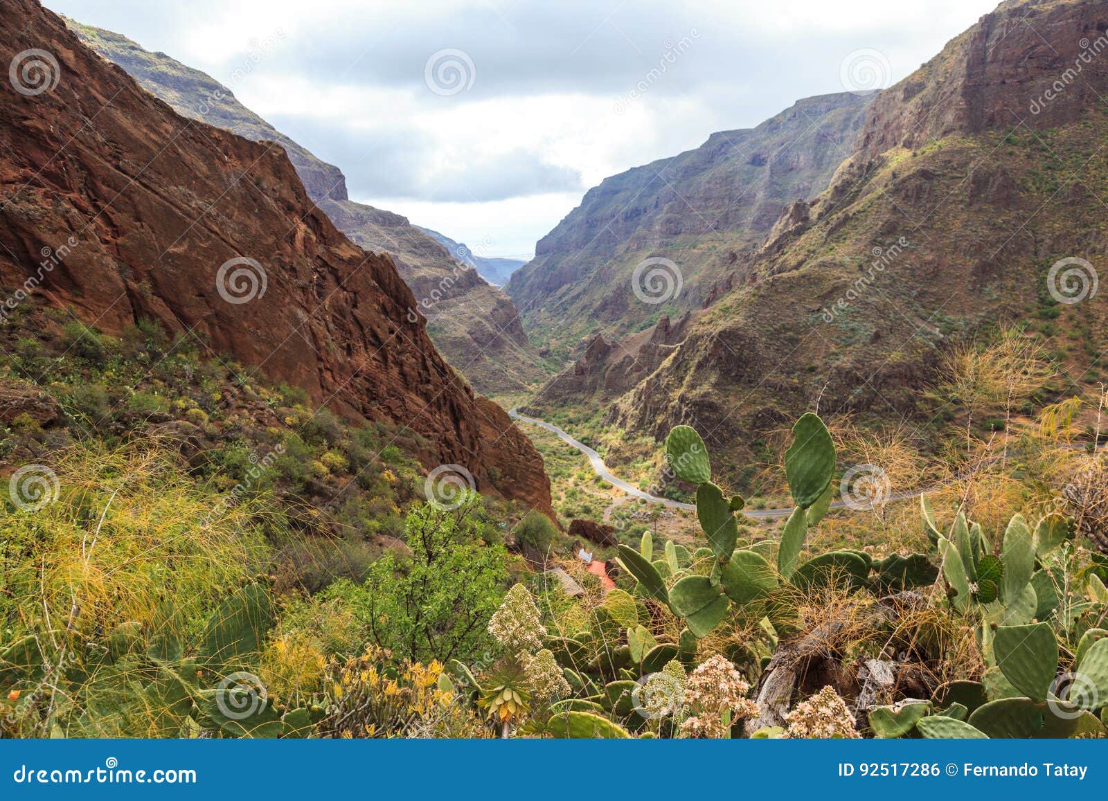 Panorama Van Guayadeque-ravijn Gran Canaria Spanje Stock Foto - Image ...