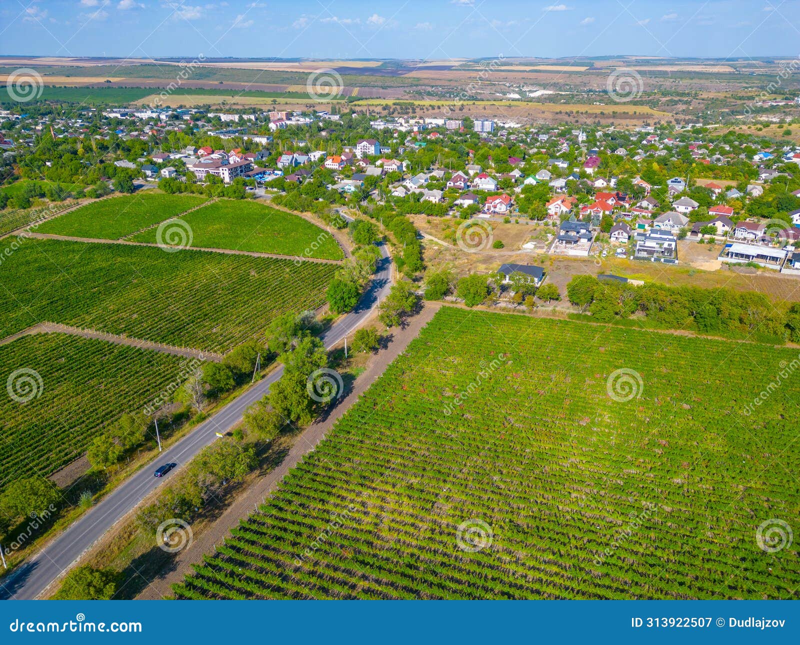 Panorama View of Cricova Vineyard in Moldova Stock Image - Image of ...