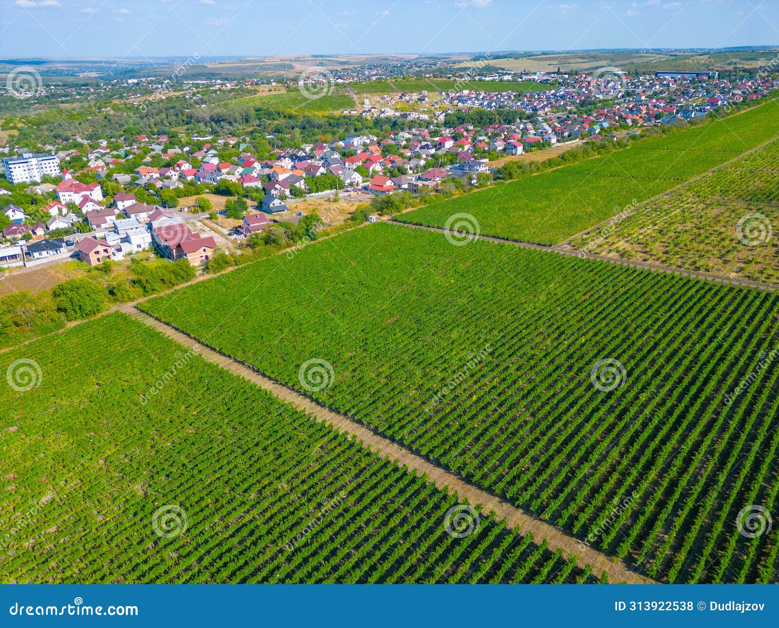 Panorama View of Cricova Vineyard in Moldova Stock Photo - Image of ...