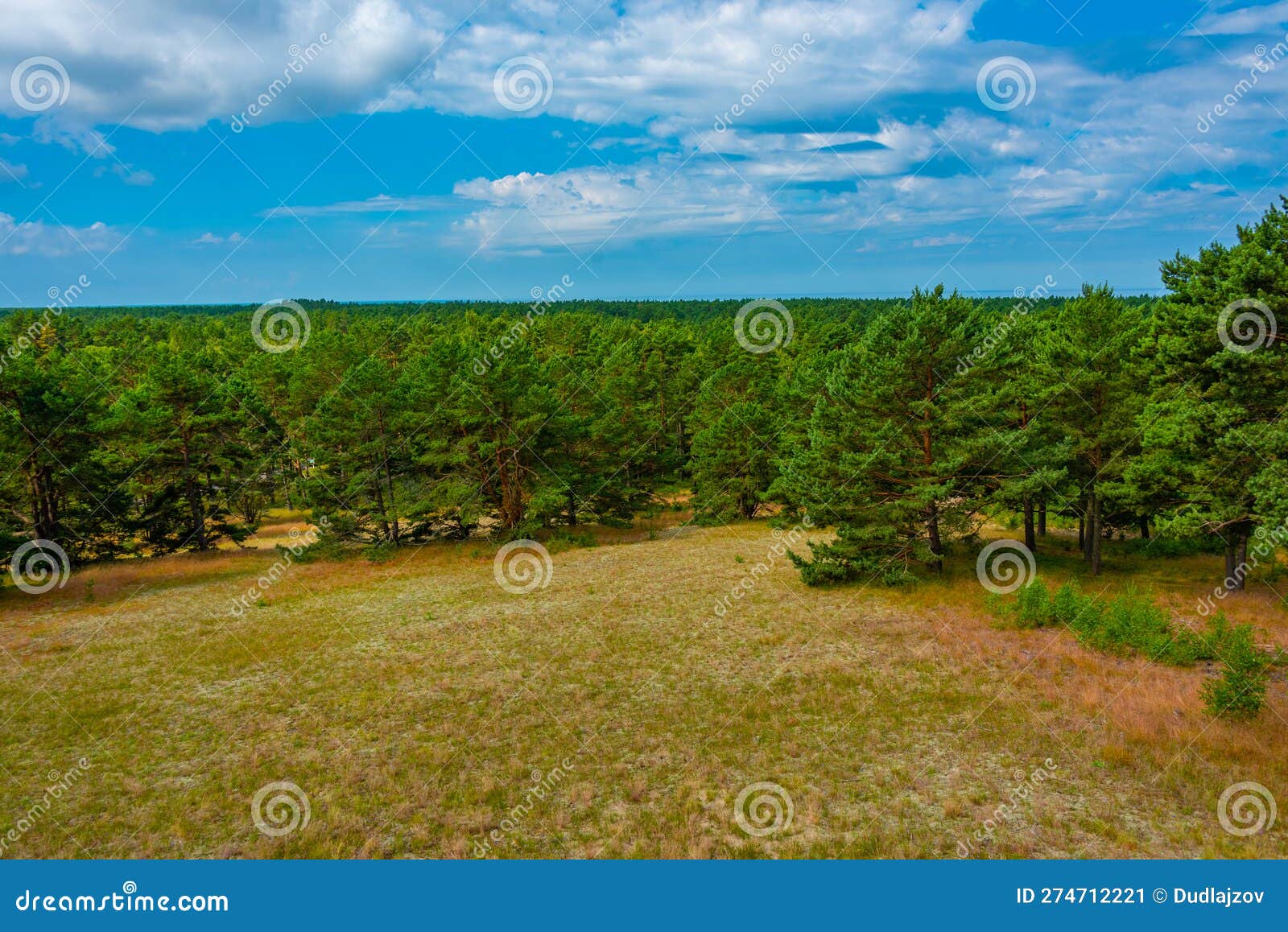 Panorama View of Curonian Spit Peninsula in Lithuania Stock Image ...
