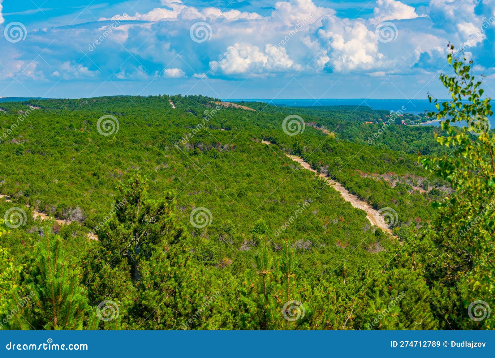 Panorama View of Curonian Spit Peninsula in Lithuania Stock Image ...