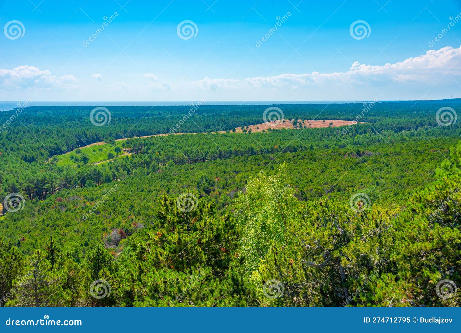 Panorama View of Curonian Spit Peninsula in Lithuania Stock Image ...