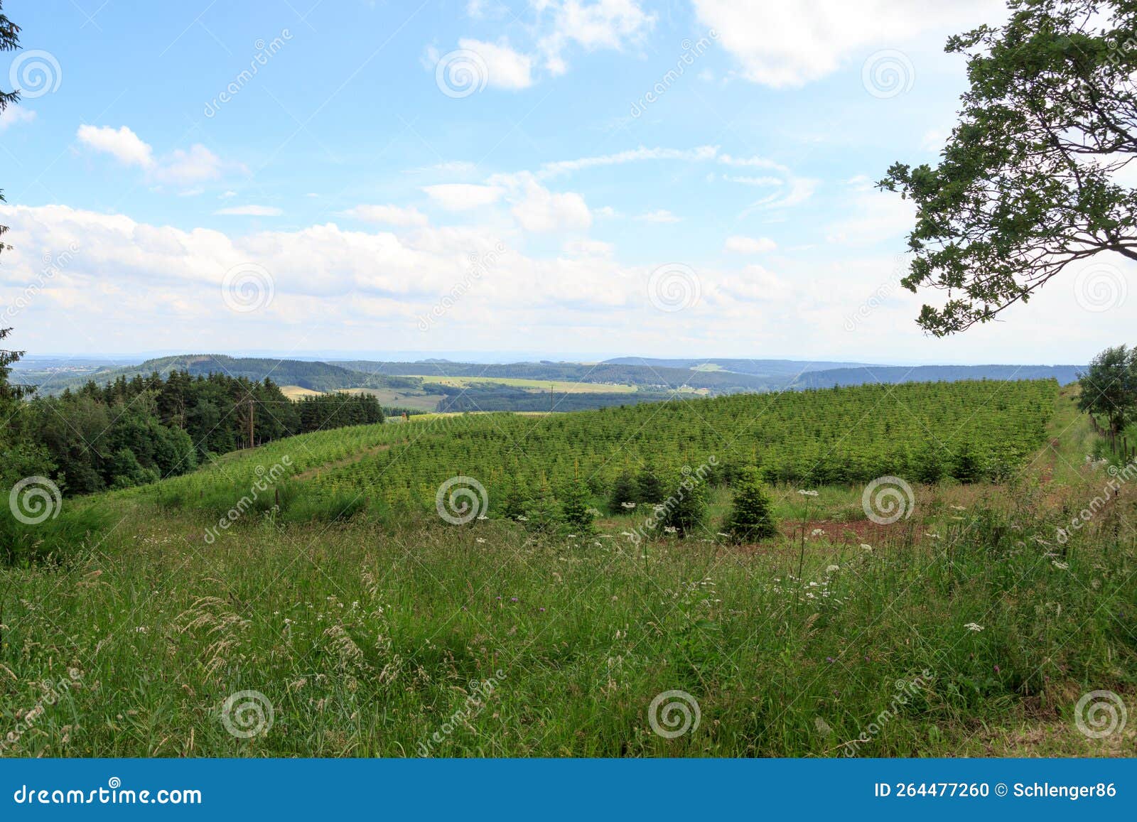 Panorama View of Eifel Mountains Near Wallenborn, Germany Stock Photo ...
