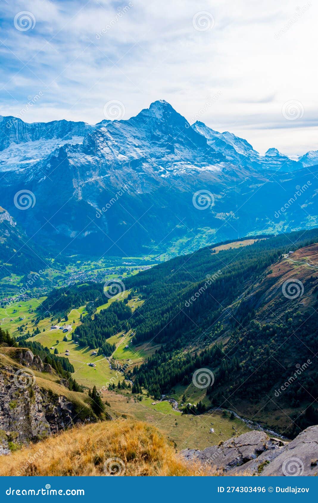 Panorama View of Grindelwald, Switzerland Stock Photo - Image of valley ...