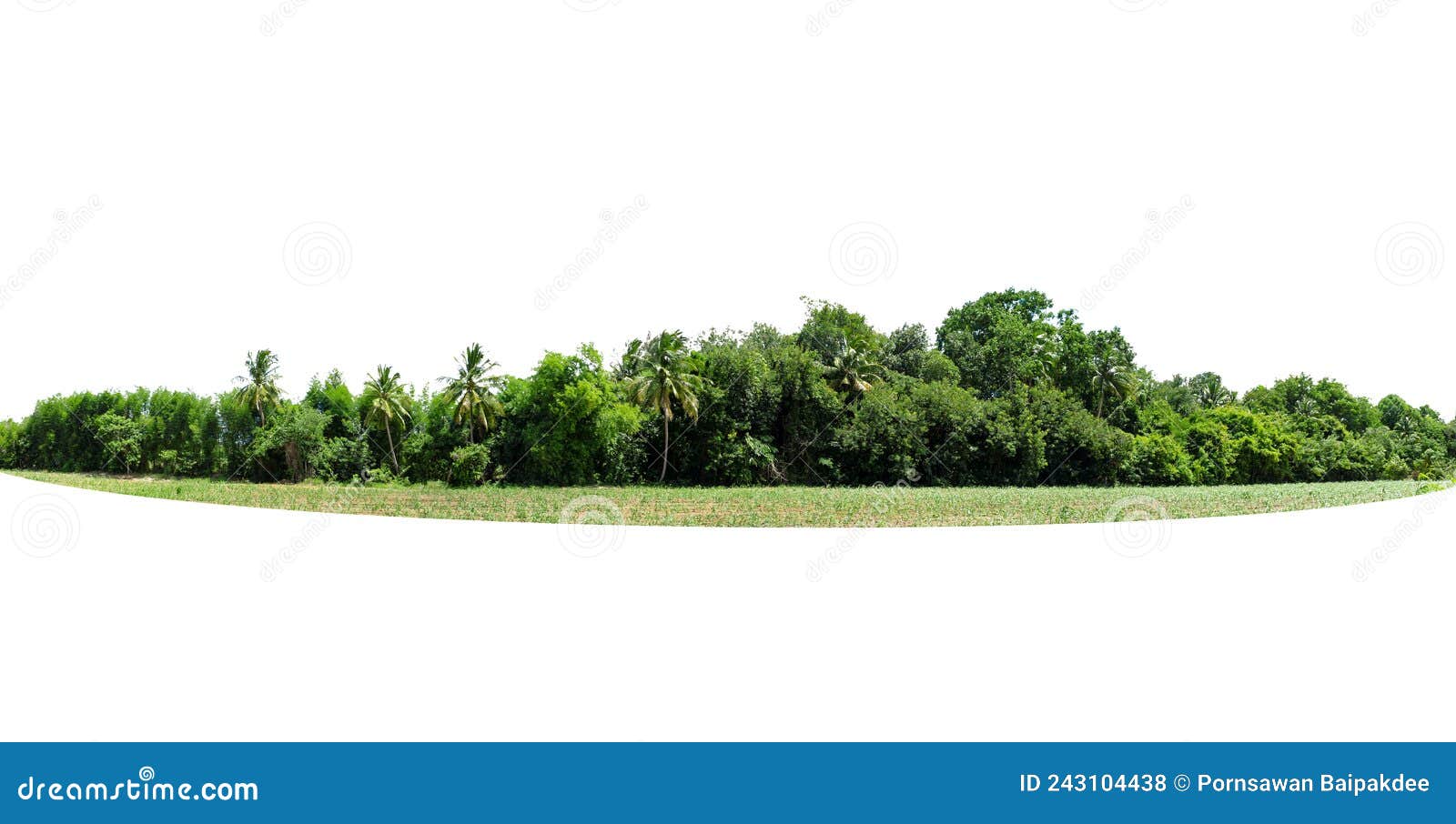 Panorama View of a High Definition Treeline Isolated Stock Photo ...