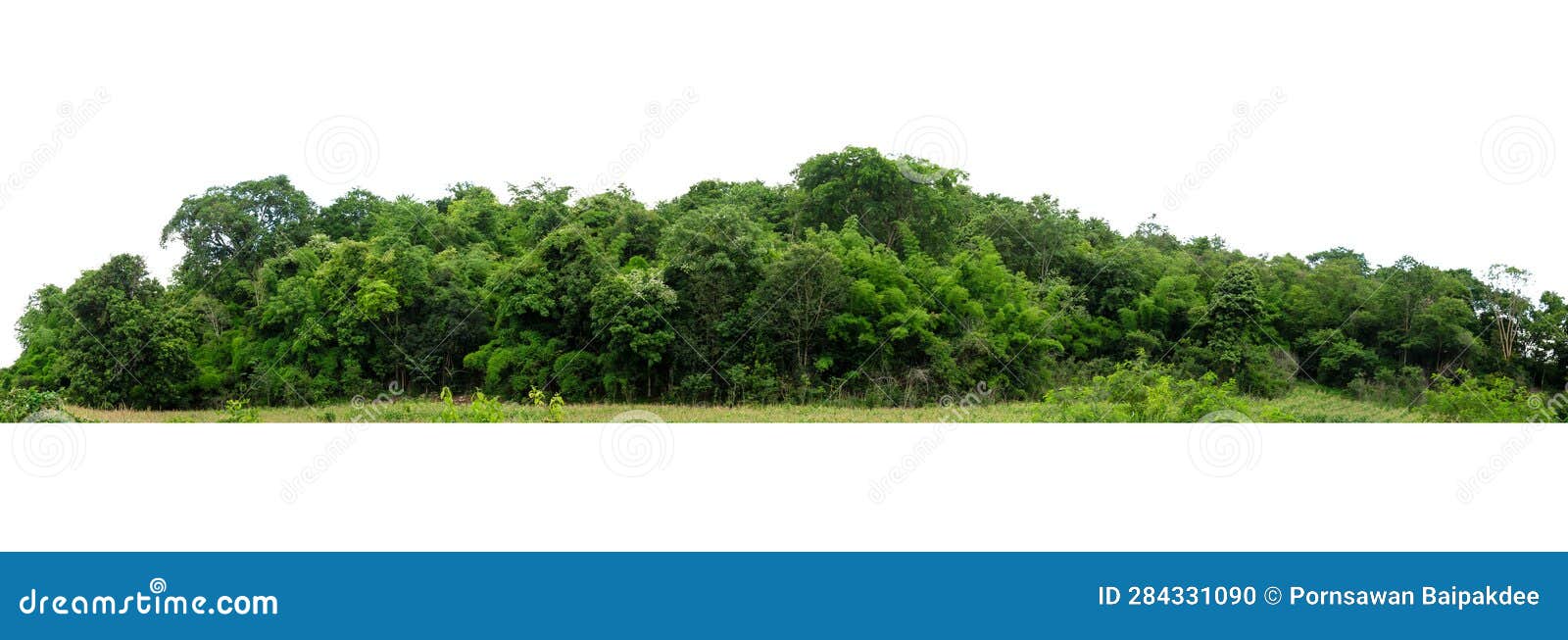 Panorama View of a High Definition Treeline Isolated Stock Photo ...