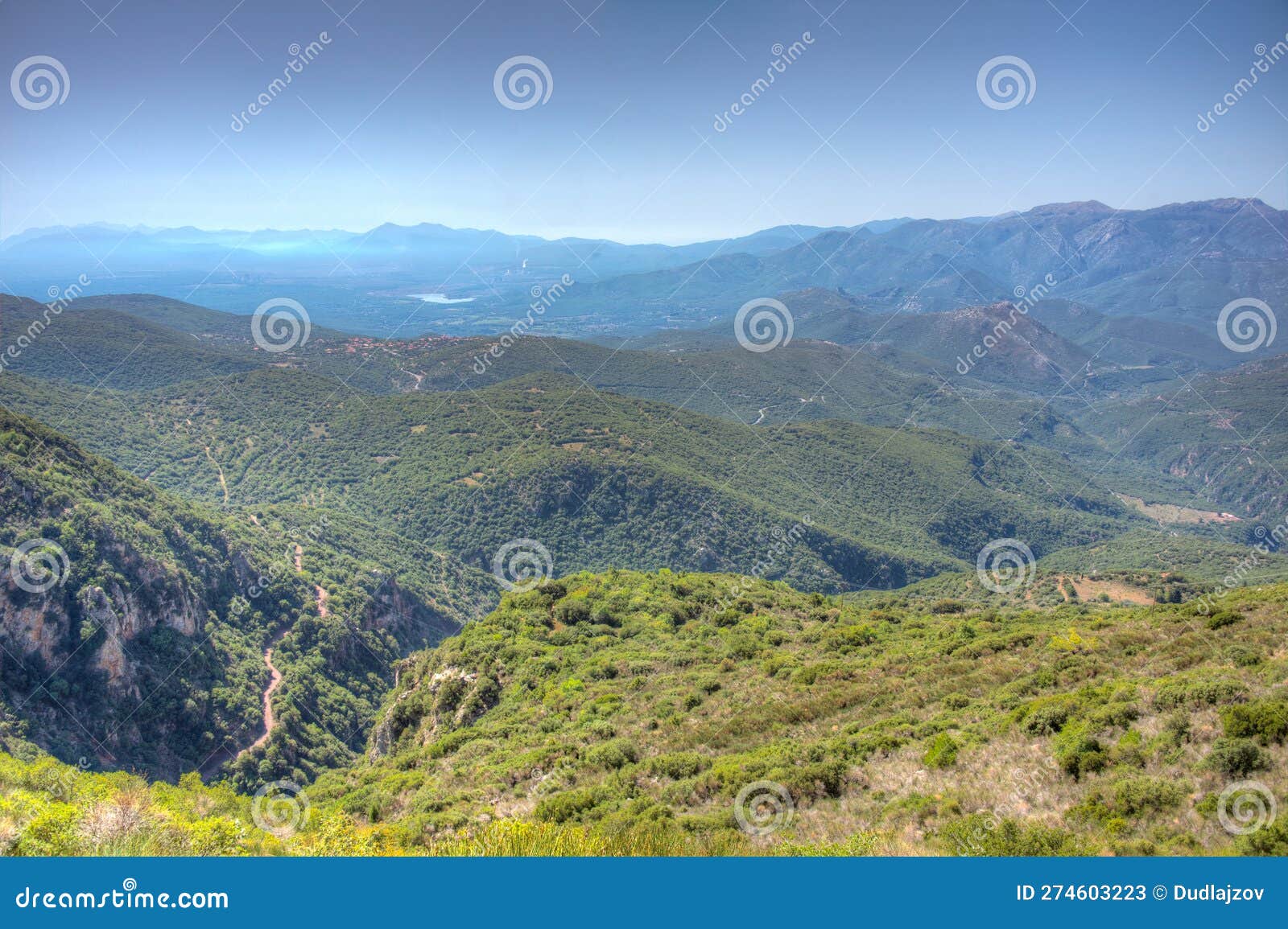 Panorama View of Lousios Gorge in Greece Stock Image - Image of ...
