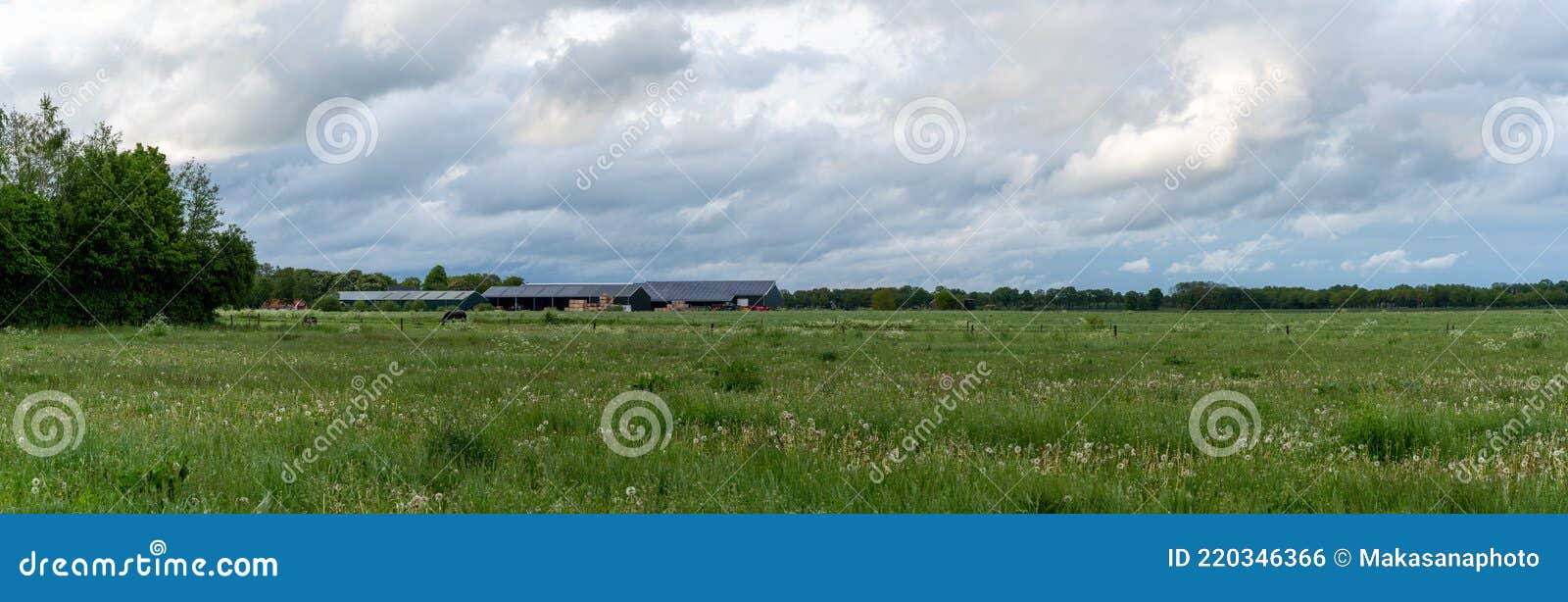 Panorama View of Typical Large Dutch Farm with Many Buildings and ...