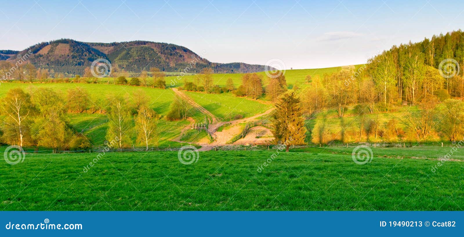 Panorama during the Warm Spring Evening Stock Image - Image of green ...
