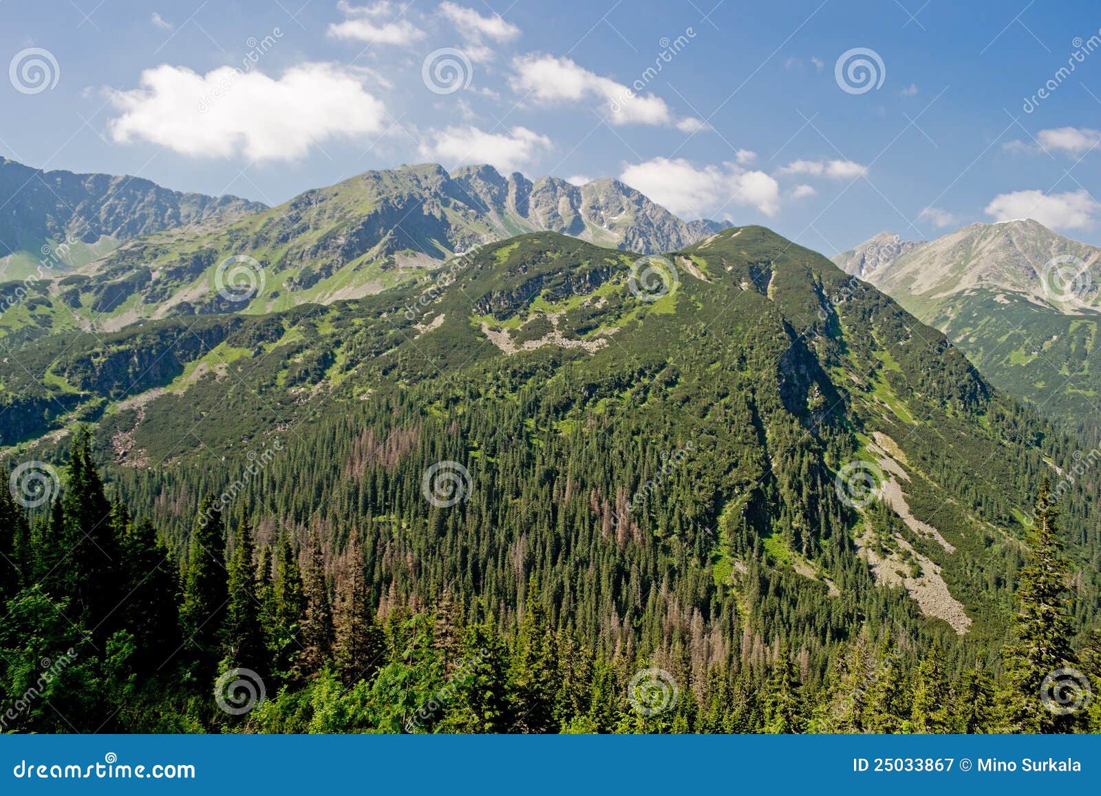 Panorama of Western Tatras stock image. Image of tatras - 25033867