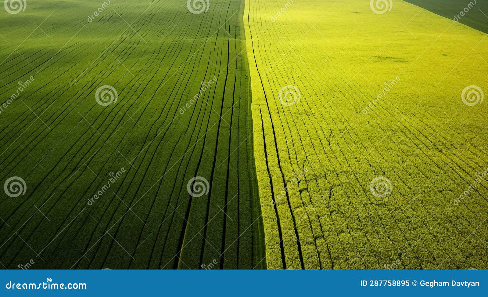 Panoramic Aerial View of Fields and Grass Stock Illustration ...