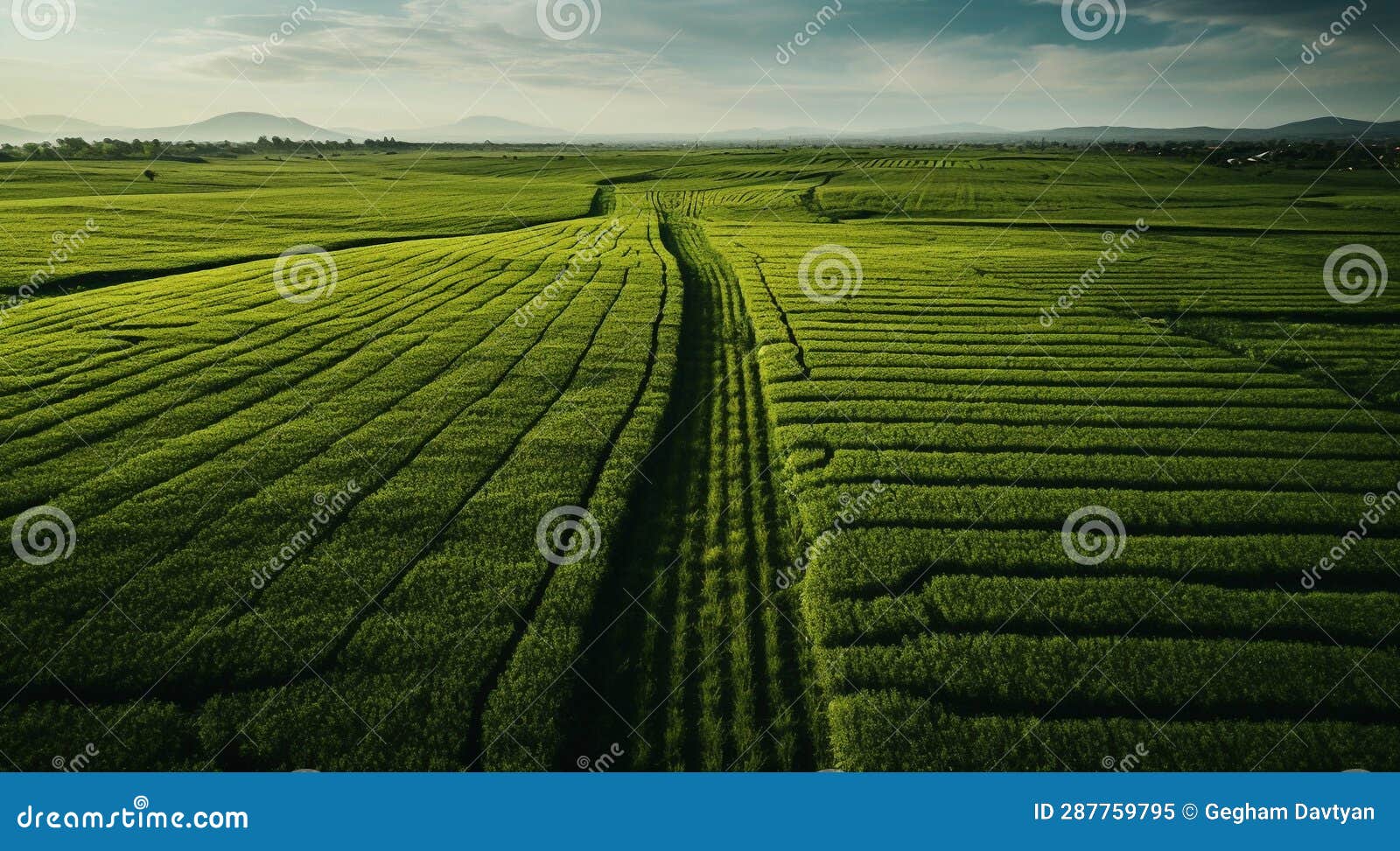 Panoramic Aerial View of Fields and Grass Stock Illustration ...