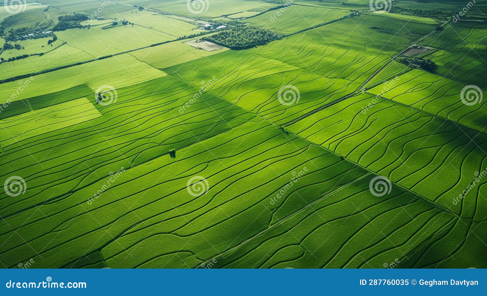 Panoramic Aerial View of Fields and Grass Stock Illustration ...
