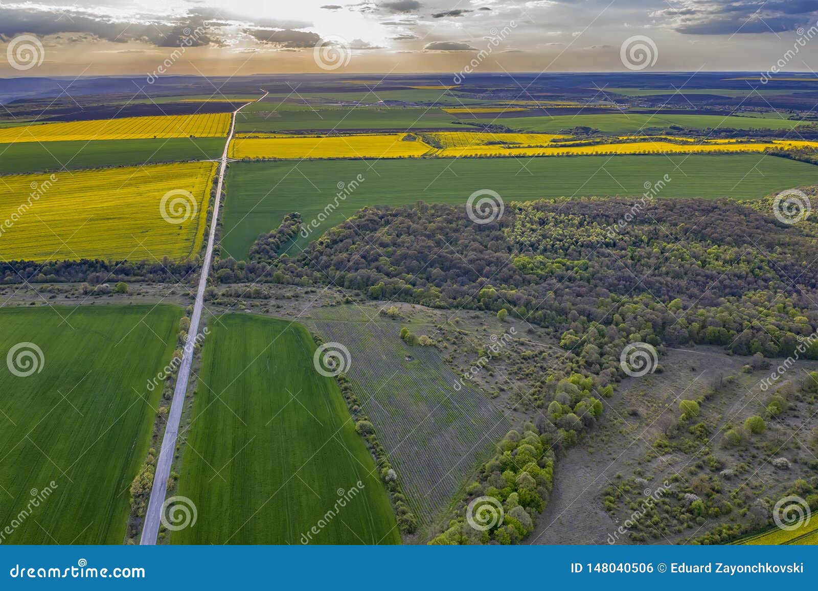 Birds-eye View of the Land with Fields, Meadows and Forest Stock Photo ...