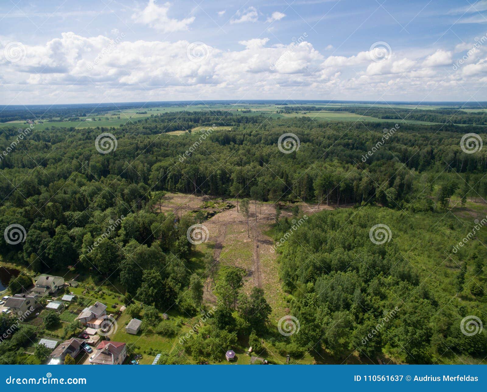 Panoramic Aerial View of Lithuania Forest Stock Image - Image of ...