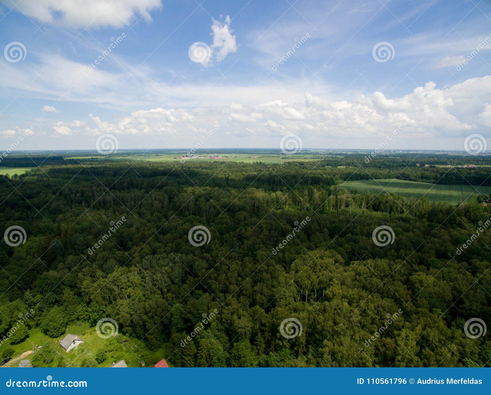 Panoramic Aerial View of Lithuania Forest Stock Photo - Image of cloudy ...