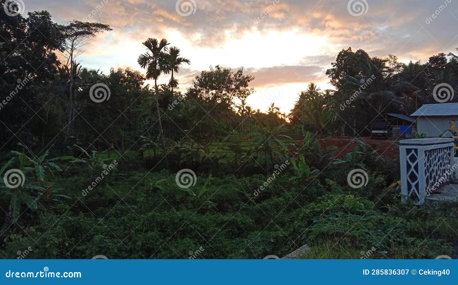 Panoramic Backdrop of Beautiful Sunshine Stock Image - Image of ...
