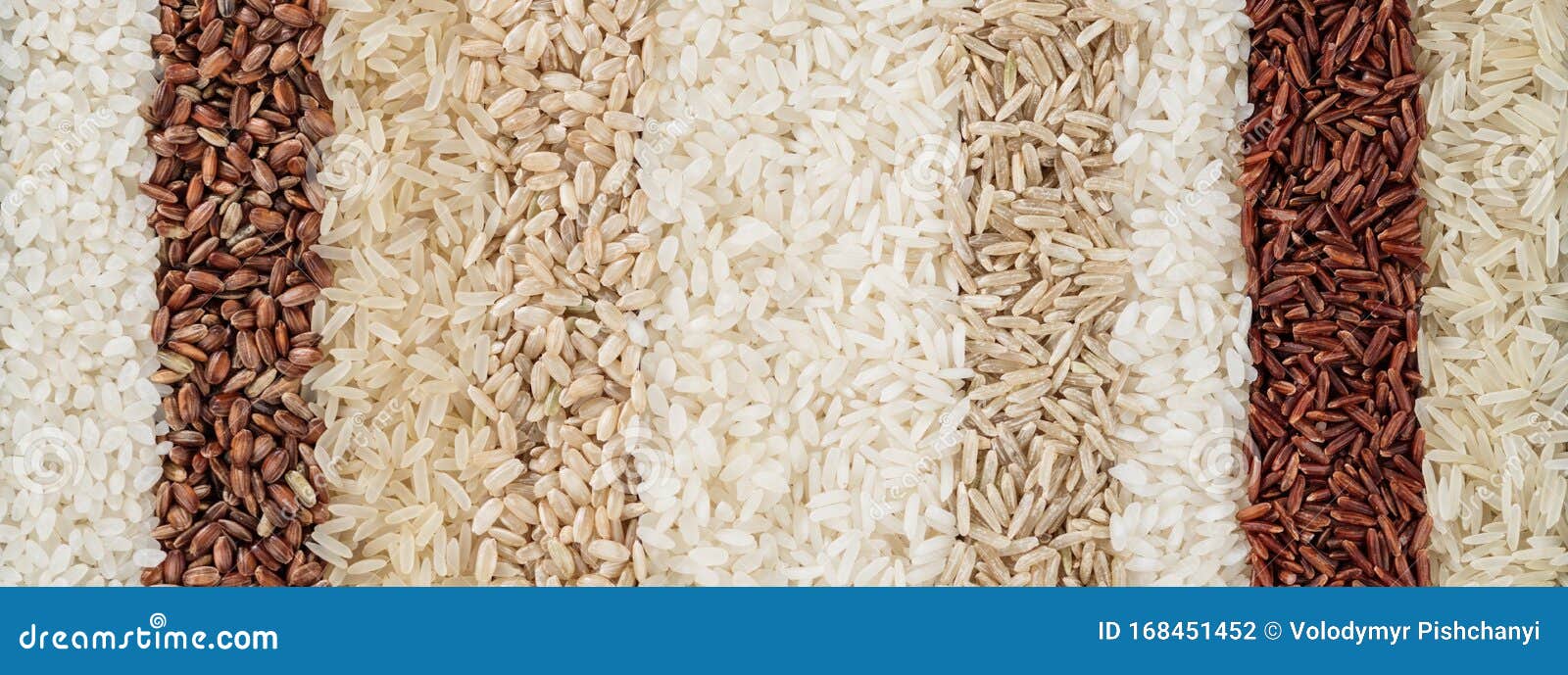 Panoramic Banner with Ten Different Varieties of Rice. Stock Photo ...