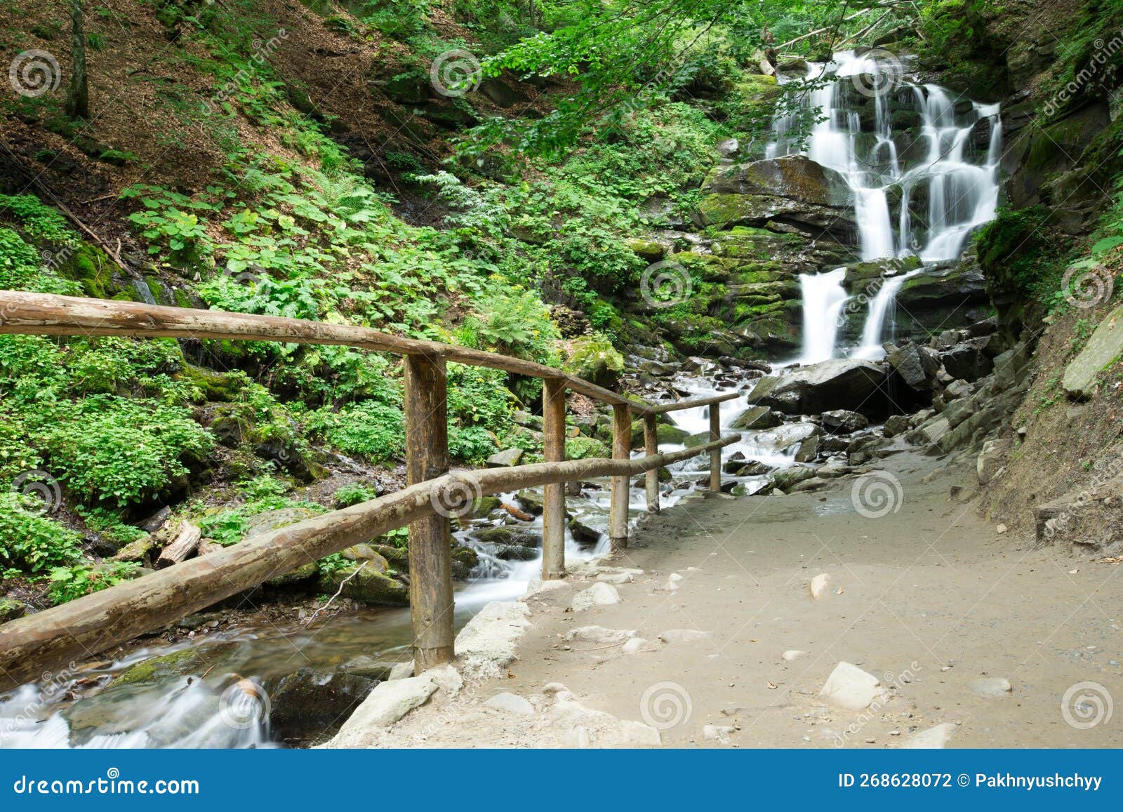 Panoramic Beautiful Forest Waterfall Stock Photo - Image of waterfall ...