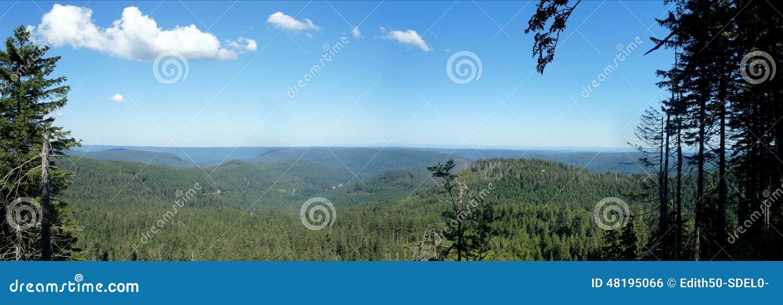 Panoramic of the Black Forest Stock Photo - Image of range, widths ...