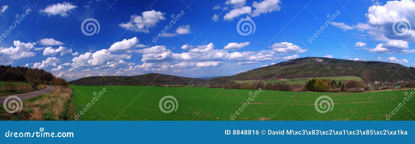 Panoramic country stock photo. Image of country, forest - 8848816