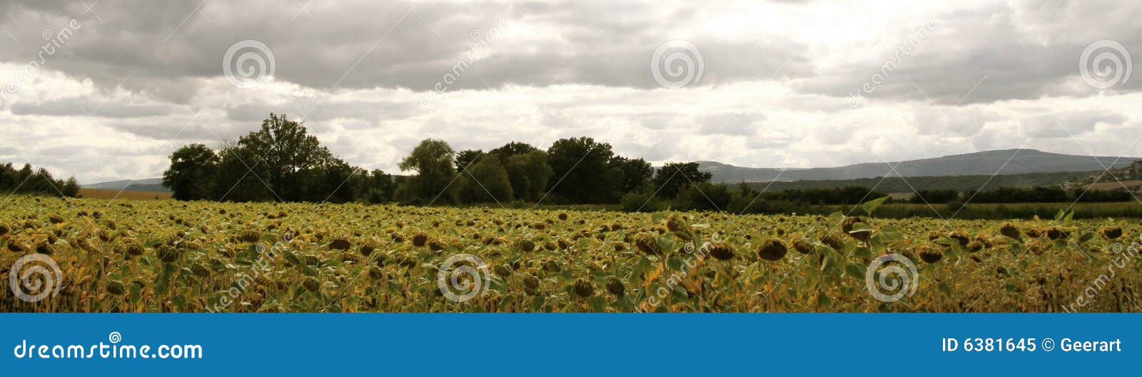 Panoramic Countryside Scene Stock Image - Image of scenic, angle: 6381645