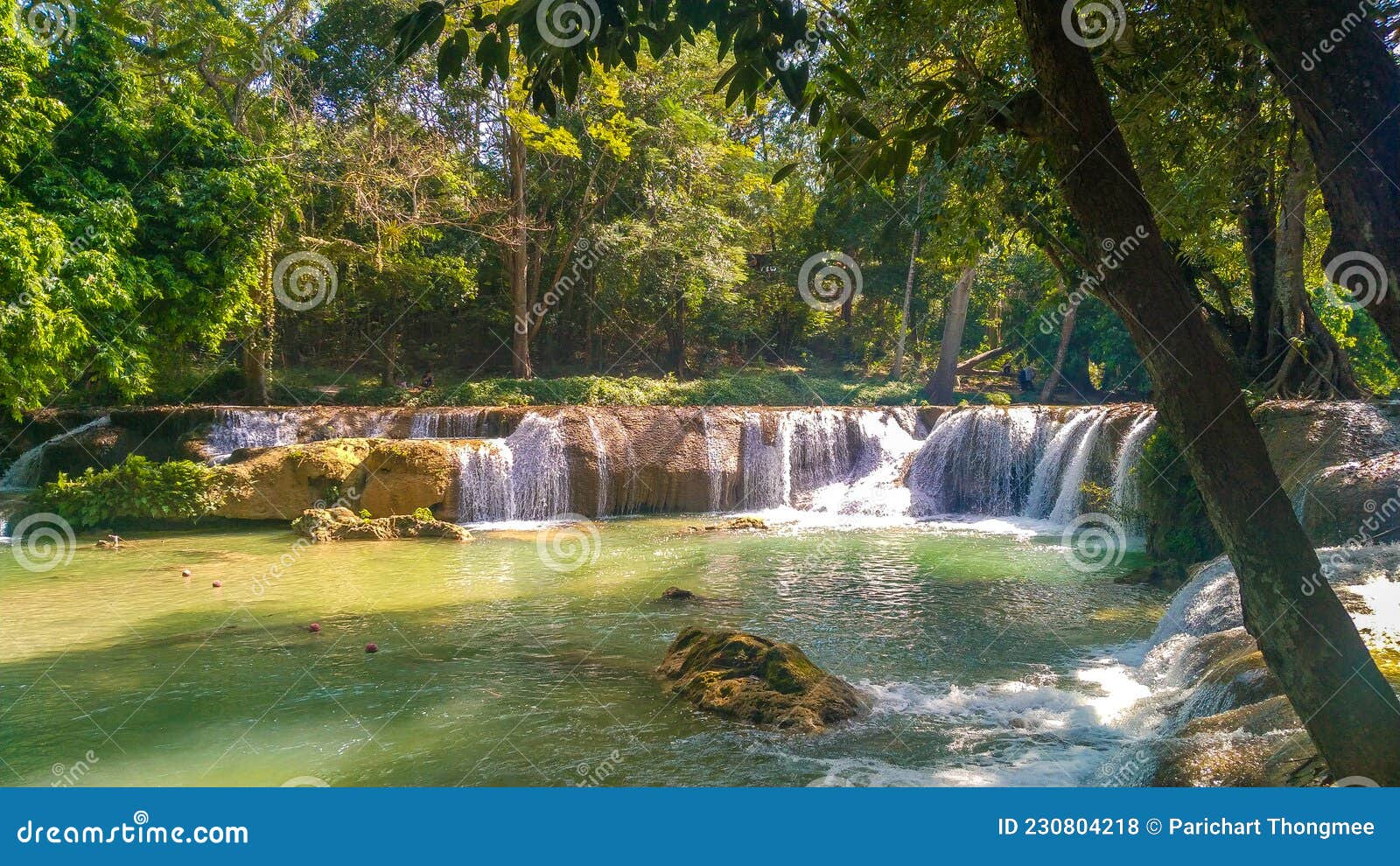 Panoramic Exotic Beautiful Tropical Deep Rainforest Waterfall Fresh ...